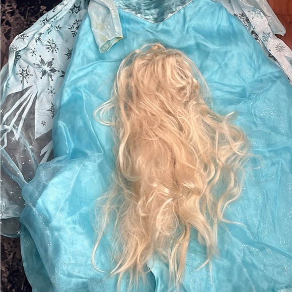 Hair | Elsa Halloween Custom With Wig | Poshmark